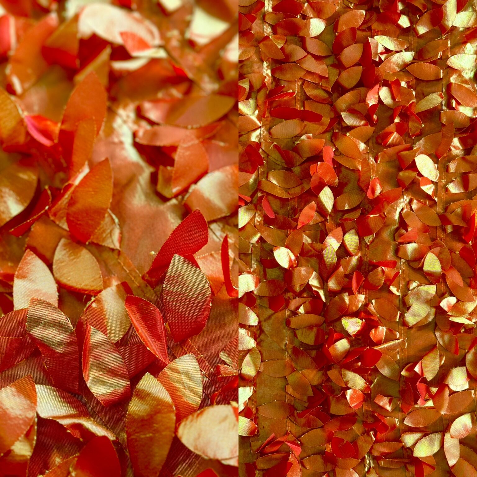 Phoenix - Linen Library