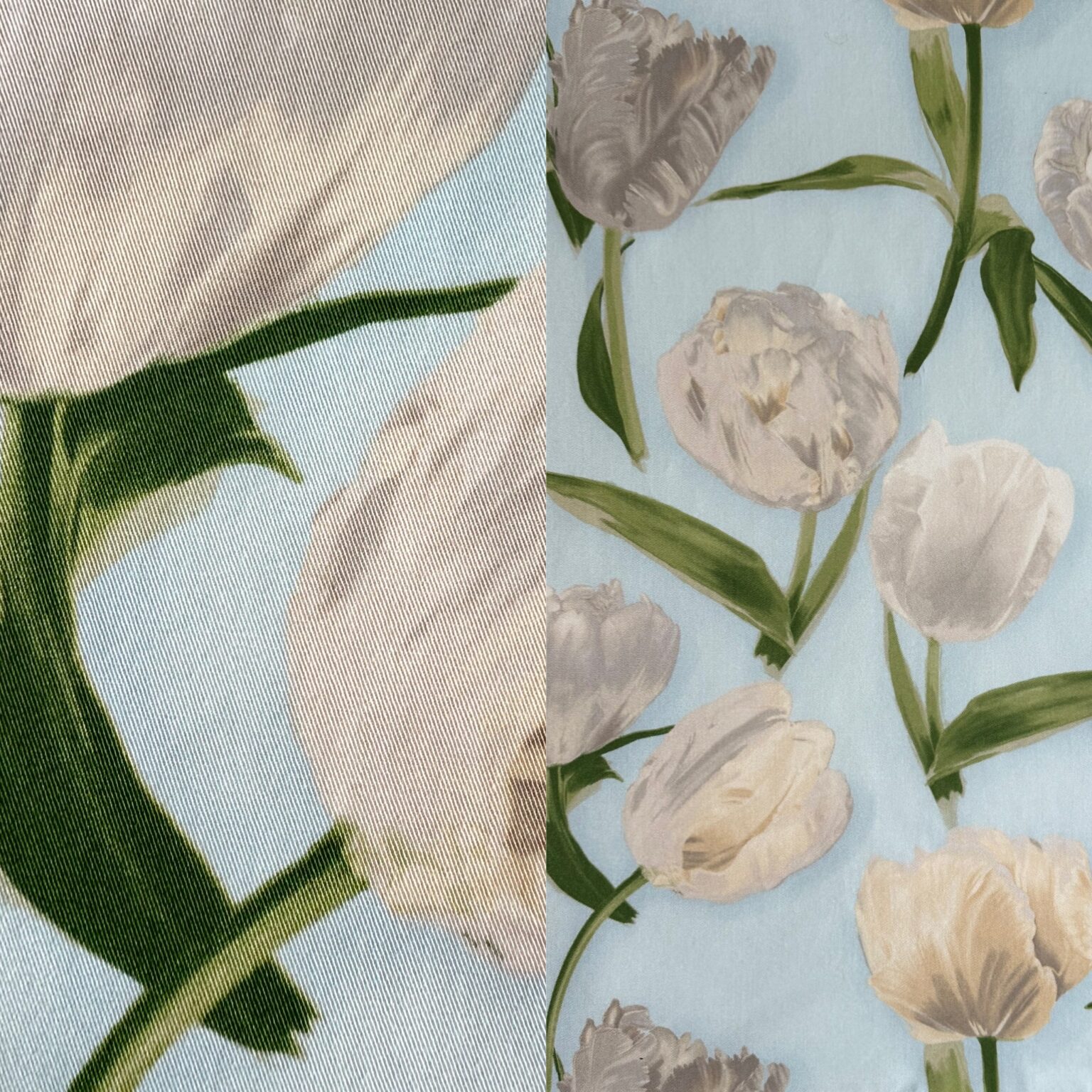 Tulips - Linen Library